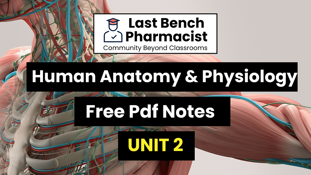 B Pharm Human Anatomy And Physiology 1 Unit 2 Pdf Notes - Last Bench ...
