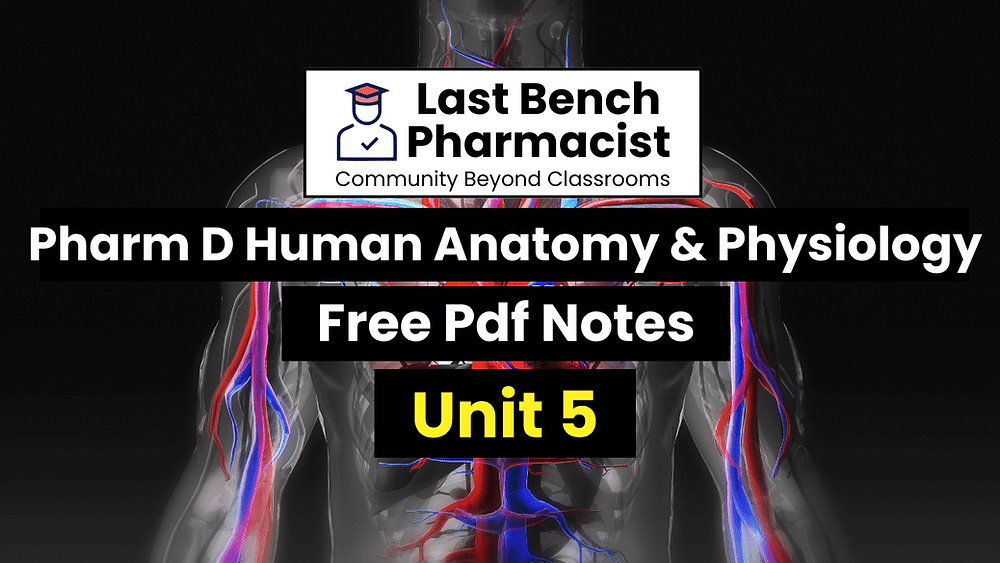 Pharm D 1st Year Human Anatomy And Physiology Unit 5 PDF Notes - Last ...