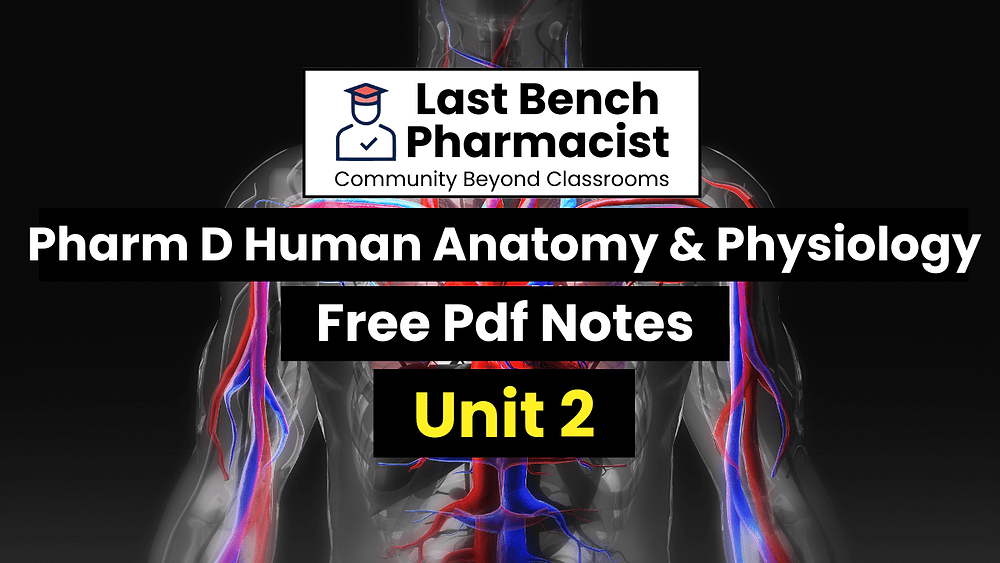 Pharm D 1st Year Human Anatomy And Physiology Unit 2 PDF Notes - Last ...