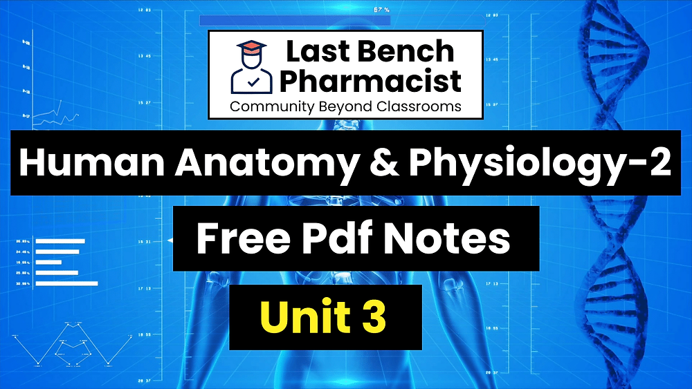 B Pharm Human Anatomy And Physiology 2 Unit 3 Pdf Notes - Last Bench ...